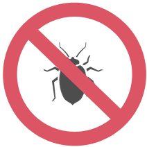 Effective Bedbugs Control in Vancouver - Conquest Pest